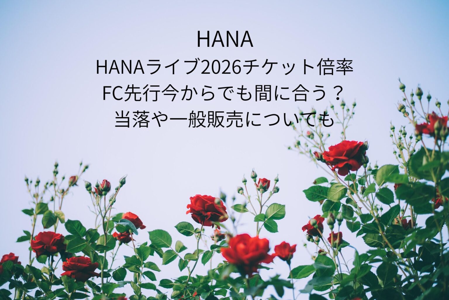 HANAライブ2026倍率！FC先行今からでも間に合う？当落や一般販売についても！ | Rizz